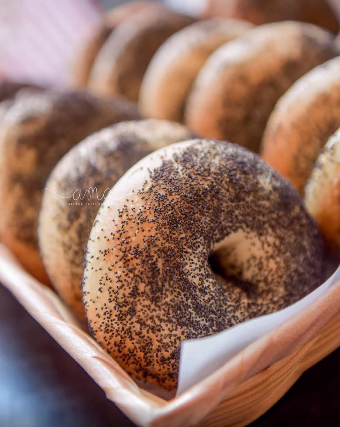 Fresh New-York Style Bagels | Rise Artisan Bread Bakery & Cafe